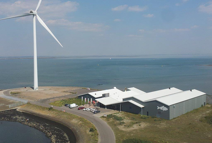 How Adri Bout's perseverance turned Seafarm into the world leader in ...