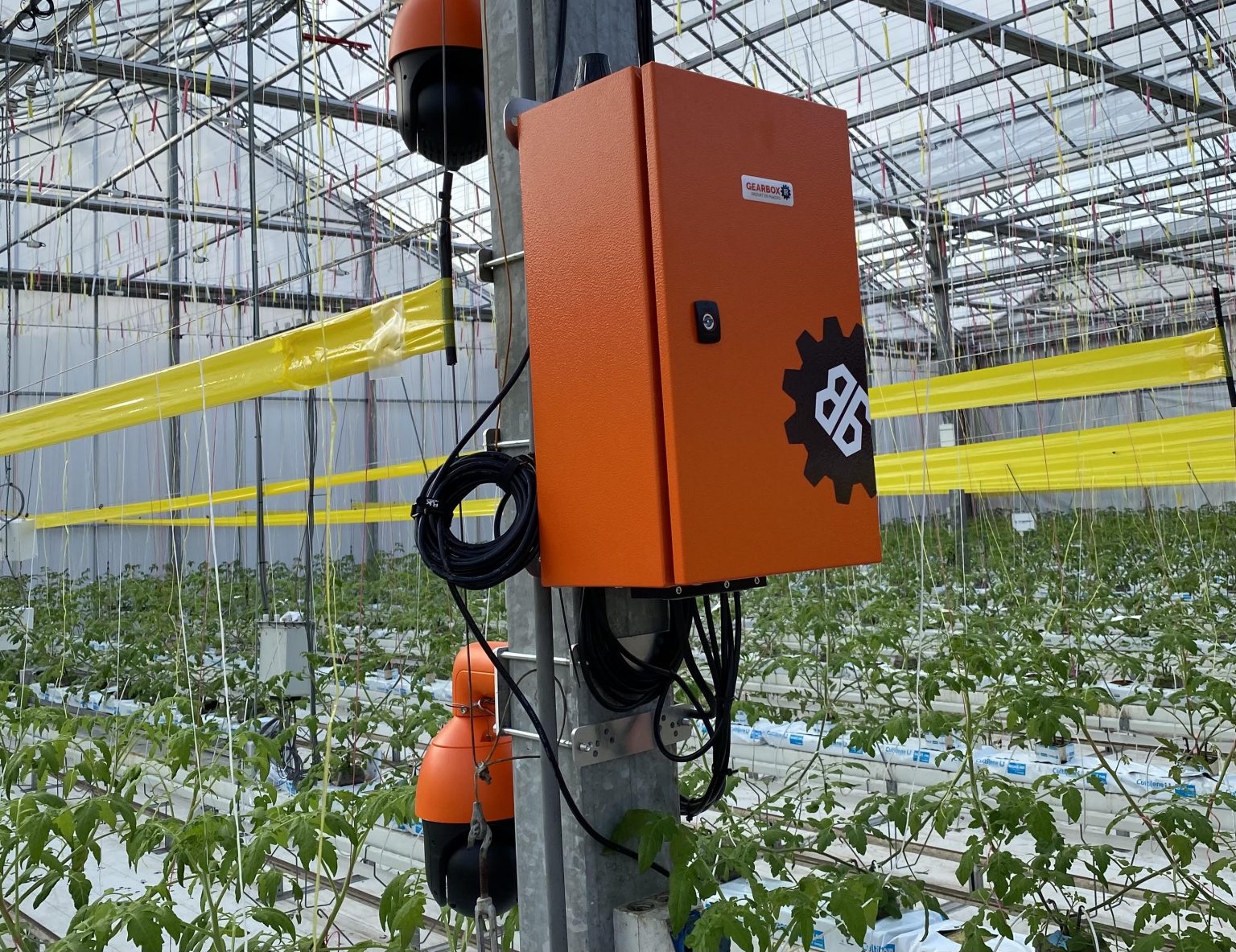 autonomous greenhouse challenge Archieven - Innovation Origins