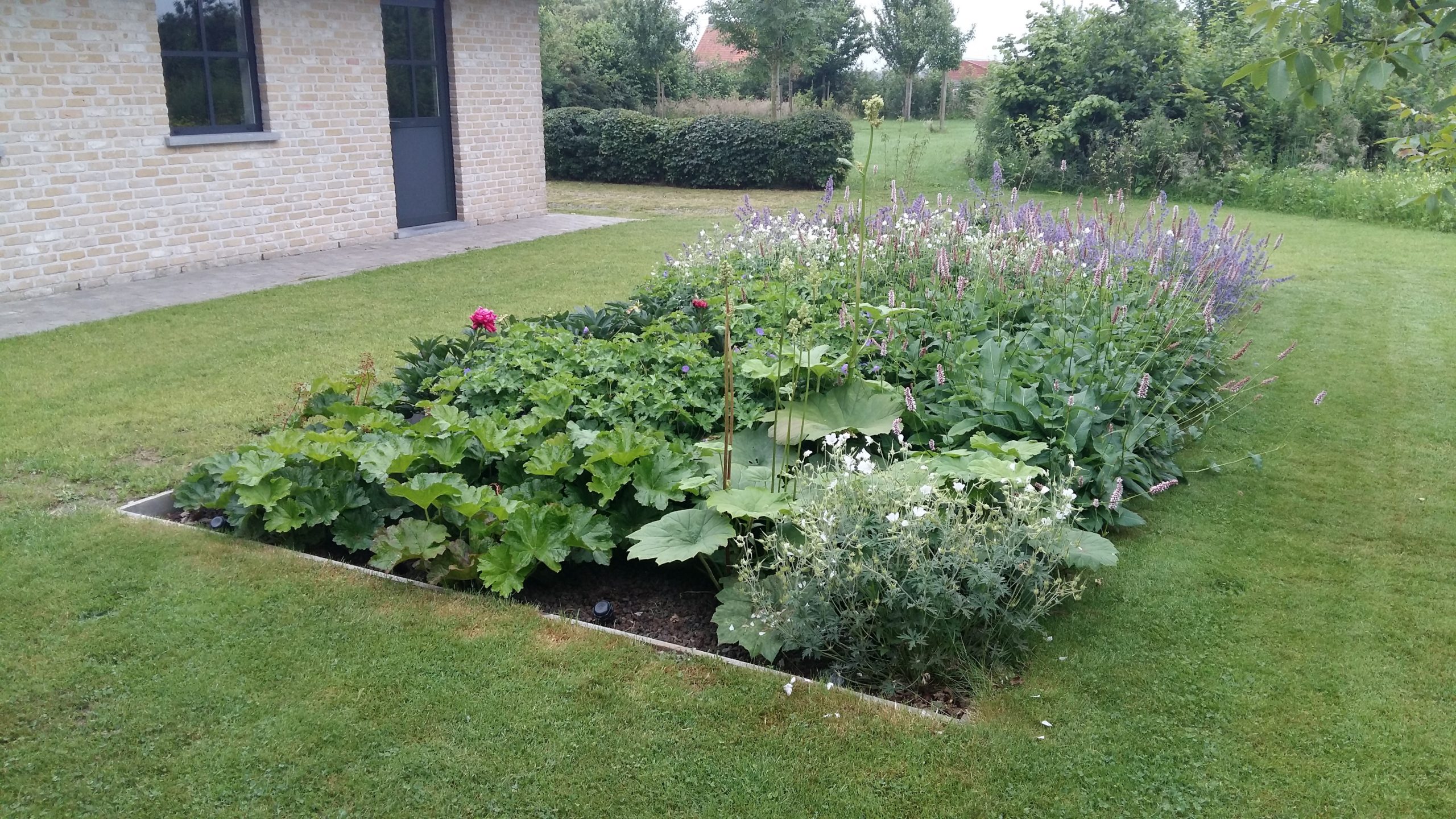 Plant filtration system as an alternative solution to treating ...